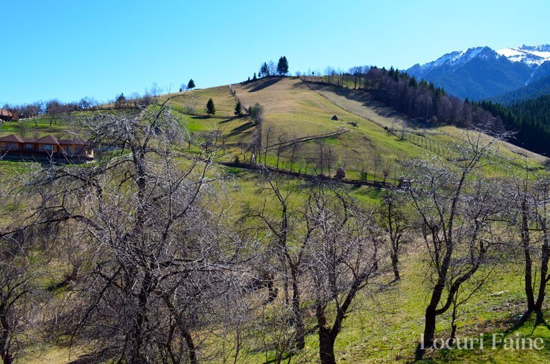 CĂSUȚA CU PRIDVOR din Bran, Brașov | Descoperă Locuri Faine din Romania