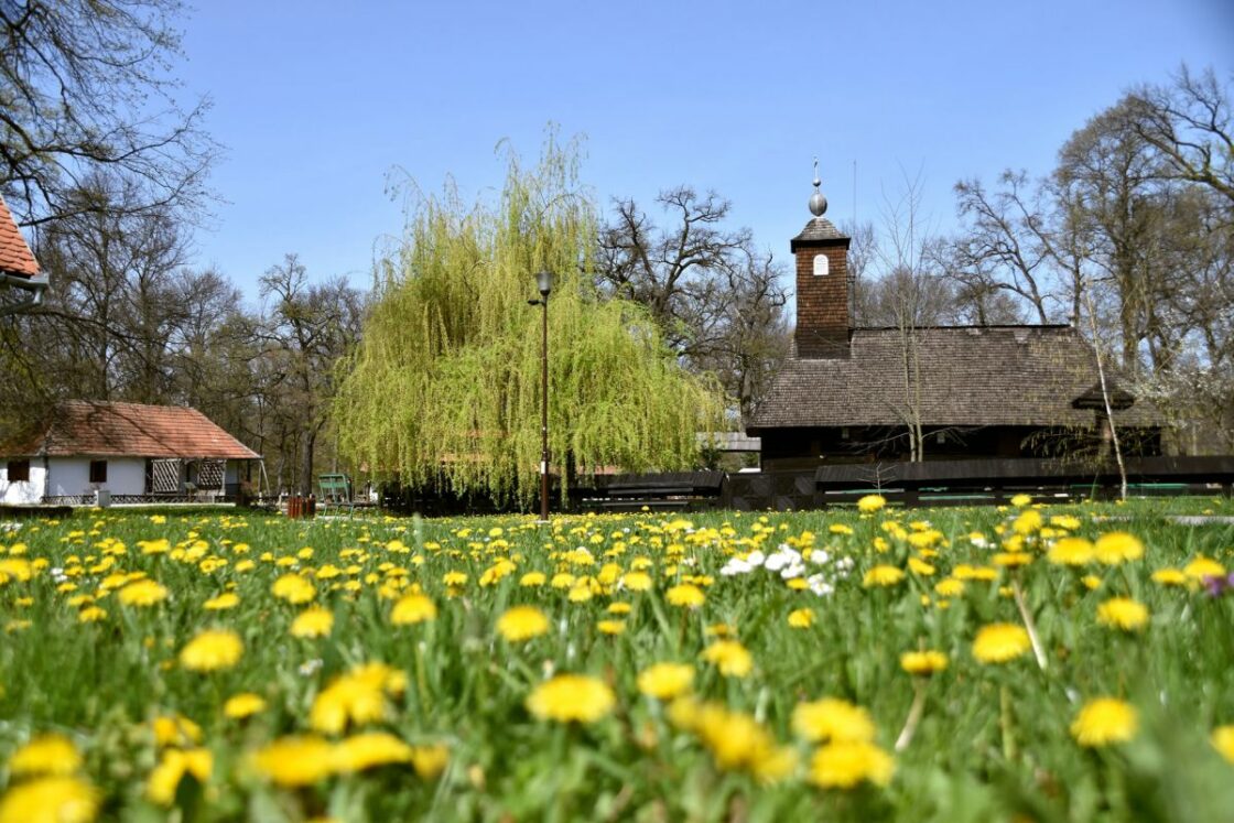 100+ Obiective Turistice din Timisoara - Ghid Turistic Complet [2024]